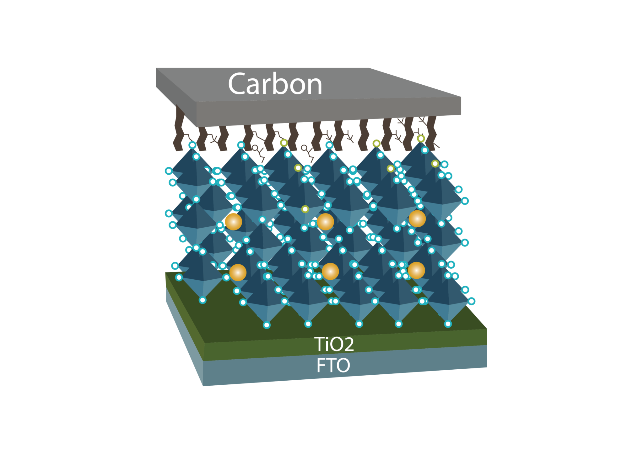 Carbon-based perovskite solar cell without hole transport layer ...