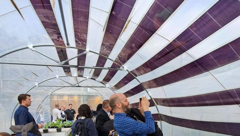 Getting lightweight, flexible, semi-transparent PV from lab to fab – pv ...