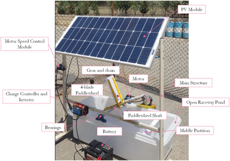 Fraunhofer ISE, TMU build ‘aquavoltaic’ system for microalgae ...