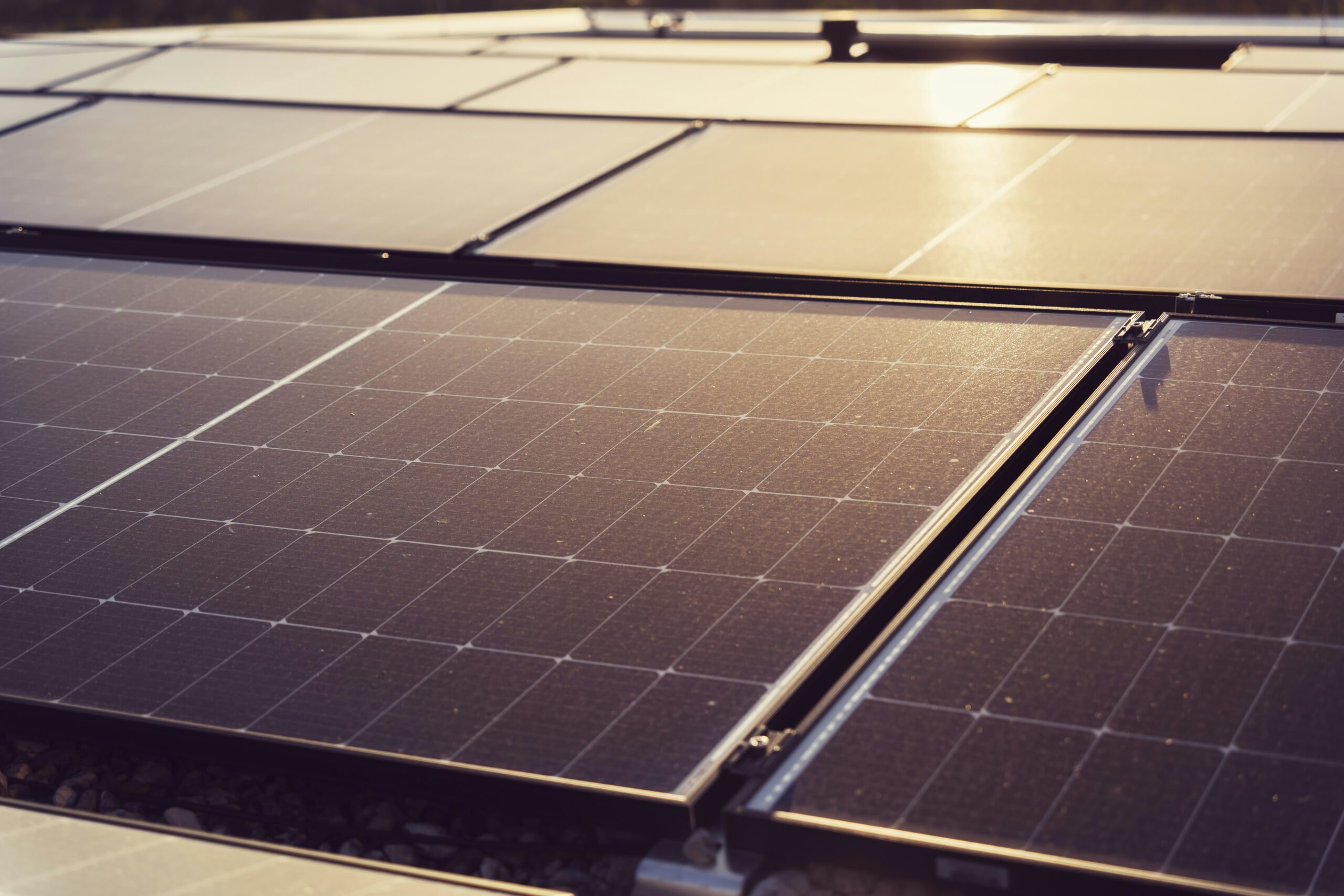 German PV experts develop quality standard for solar modules – pv ...