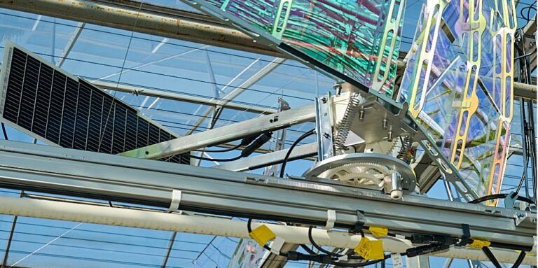 Swiss startup offers wavelength-selective PV system for agrivoltaics ...