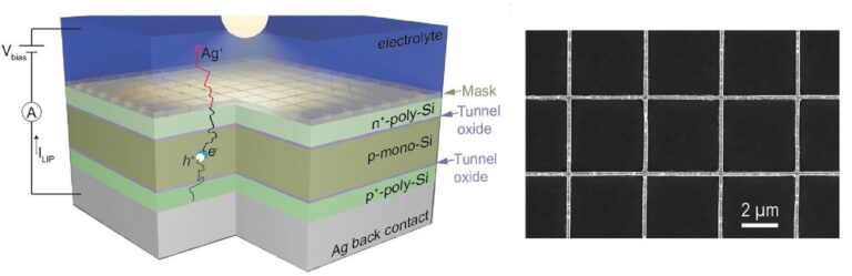 Fraunhofer ISE, AMOLF unveil TOPCon solar cell based on metal nanowire ...