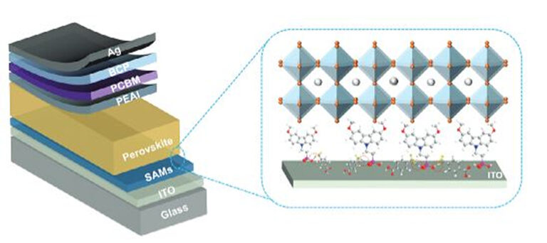 Inverted perovskite solar cell based on self-assembled monolayer ...