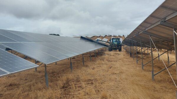 Modules & Upstream Manufacturing – pv magazine International