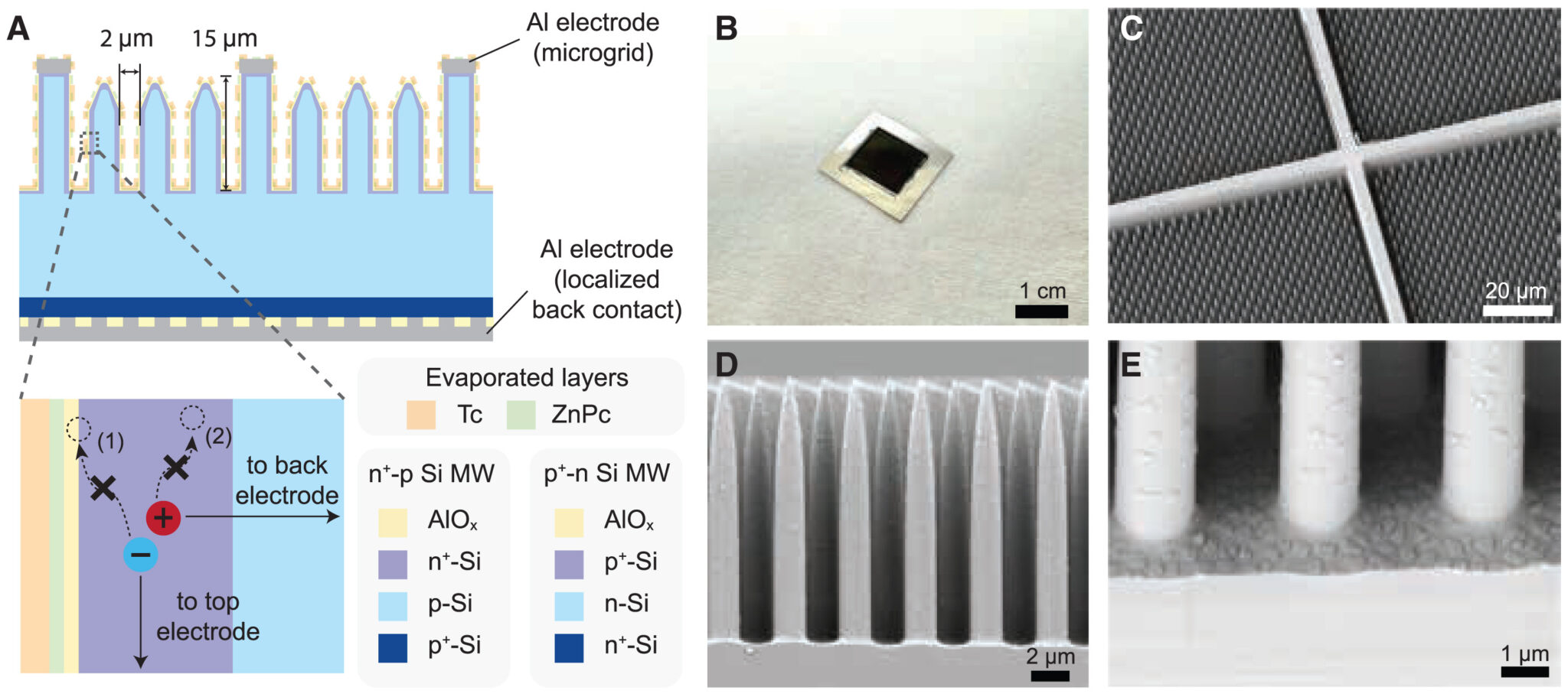 MIT scientists developing silicon solar cell based on singlet exciton ...