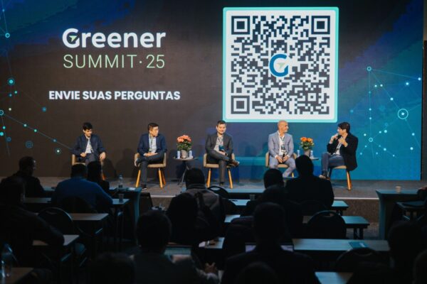 Brazilian energy storage hampered by technical challenges, lack of ...