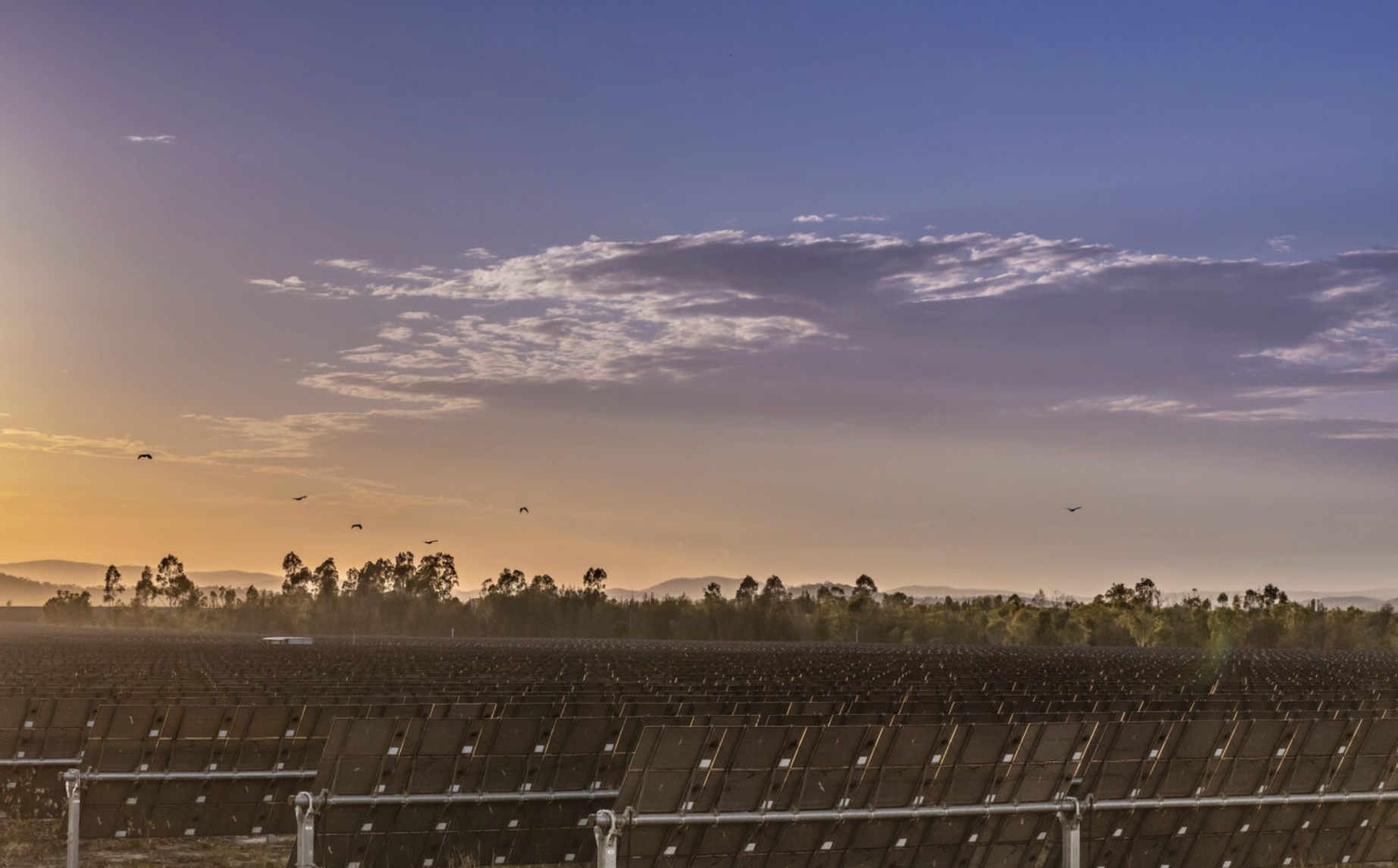 Genex opens procurement for 775 MW Bulli Creek solar project in ...