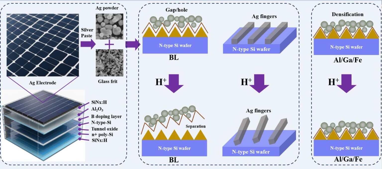 Improving LECO-compatible silver pastes to ensure TOPCon reliabilty ...