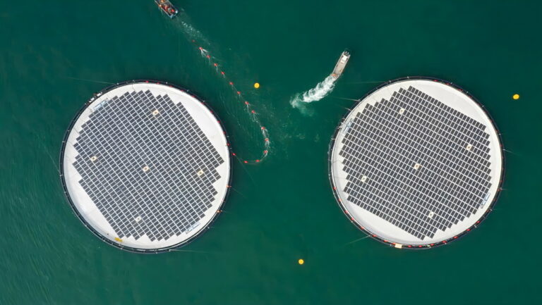 GCL SI presents 480 W solar modules for offshore projects – pv magazine International