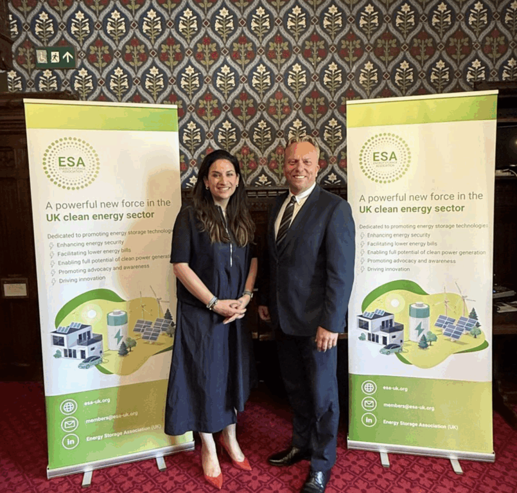 UK needs to get “obsessed” with energy storage, says ESA founder - pv ...