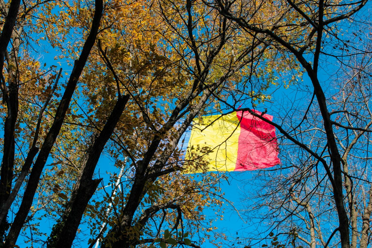Romania’s Electrica opens two solar tenders – pv magazine International