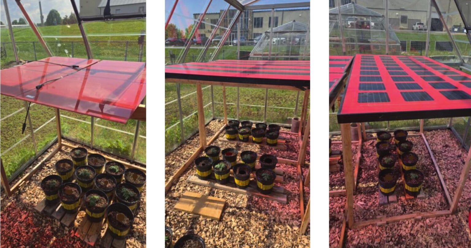 How to electrify greenhouses with semi-transparent PV, heat pumps – pv ...