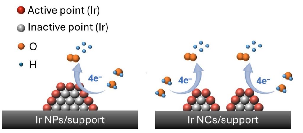 Catalyst breakthrough could accelerate green hydrogen production - pv ...