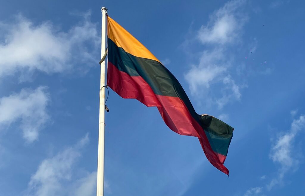 Lithuania’s grid operators can now disconnect solar plants without ...
